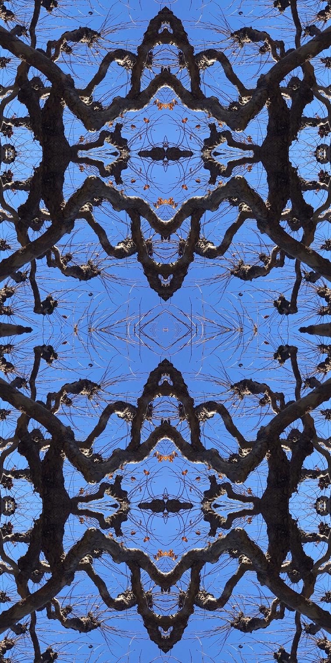 Patterns | Unusual Colors – Digital and AI art